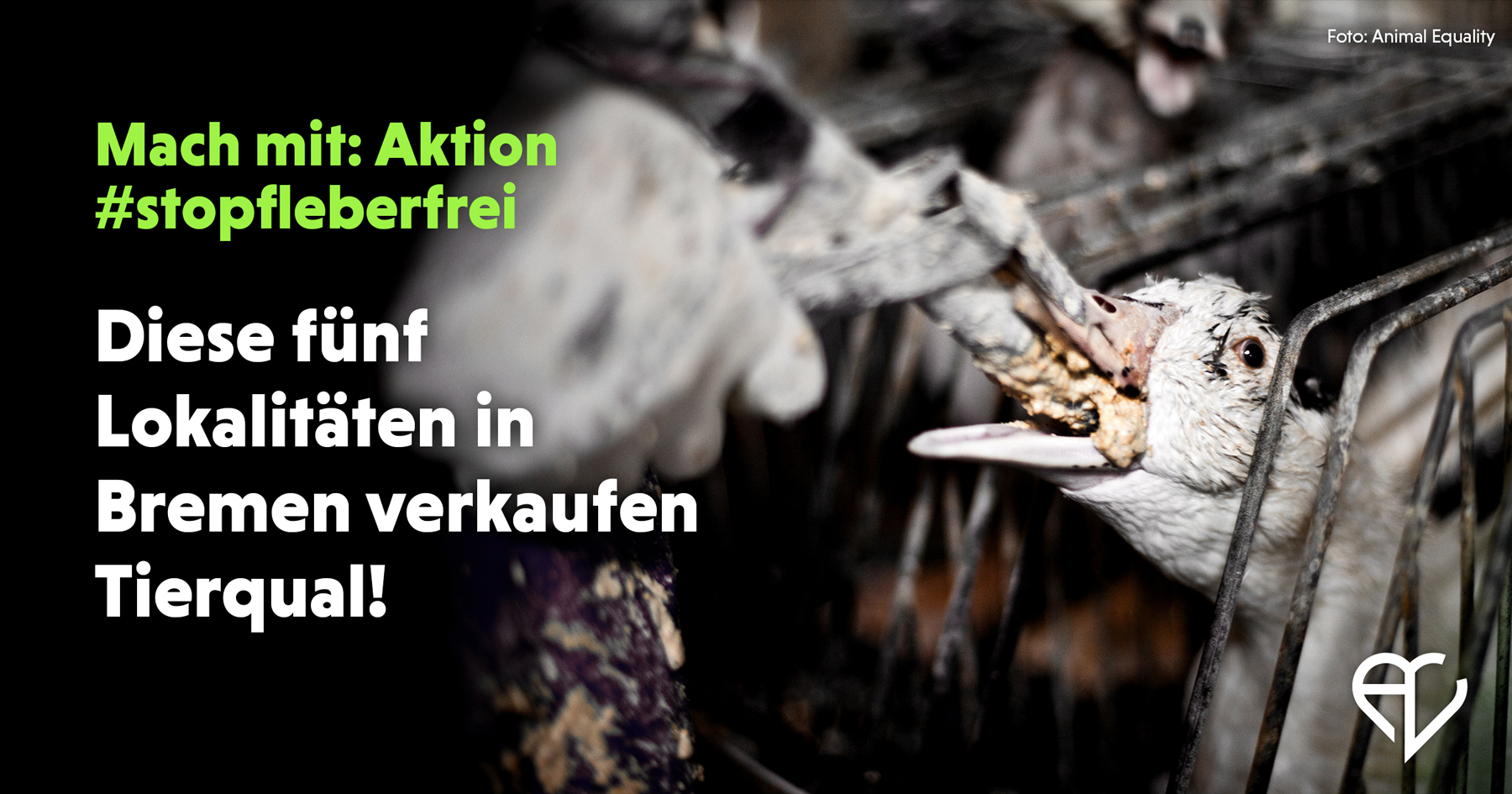 Mach mit uns Bremen stopfleberfrei | Animals' Voices Bremen